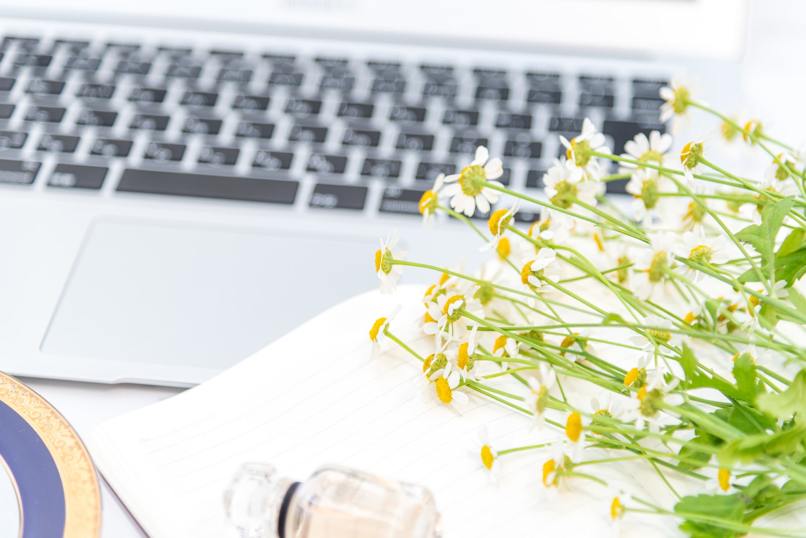 Rubyの標準入出力を完全ガイド！puts・print・pの違いとデバッグ活用法